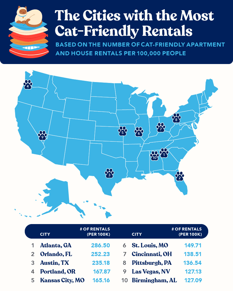 The Most Cat Friendly Cities in the U.S. - TotalVet