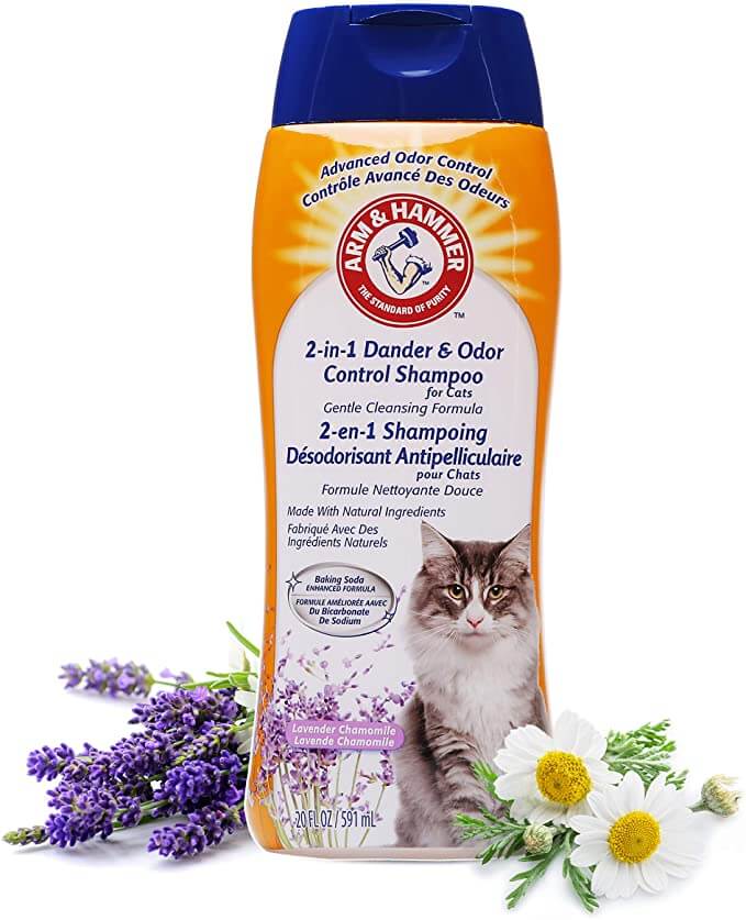 The Best 6 Cat Shampoos: Our Top Picks + Reviews - TotalVet